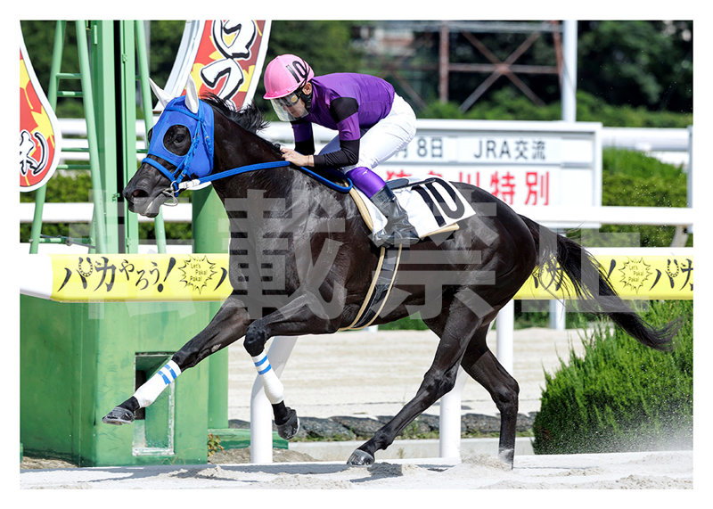 DMM.com [[2025/10/8園田4Rオブシディアーナ]ゴール写真2L判] ホビー・おもちゃ通販