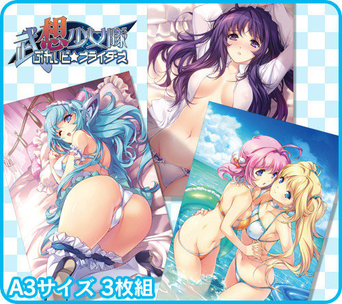 武想少女隊ぶれいど☆ブライダーズ A3サイズクリアポスターセット3枚組 フィギュア・グッズ通販 Fanza通販